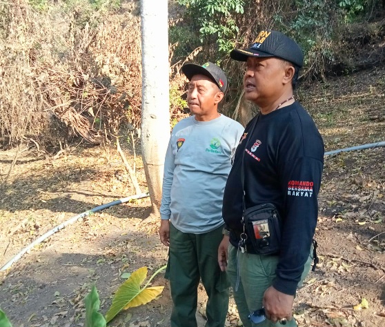 Asper KPH Perhutani Banyuwangi Utara Bersama LSM KOBRA dan LMDH Wono ...