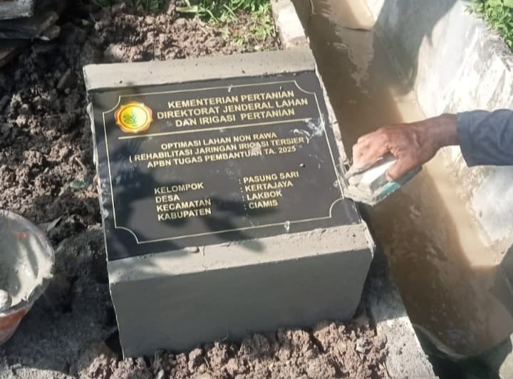 Program Optimasi Lahan Non Rawa Dukung Ketahanan Pangan di Desa ...